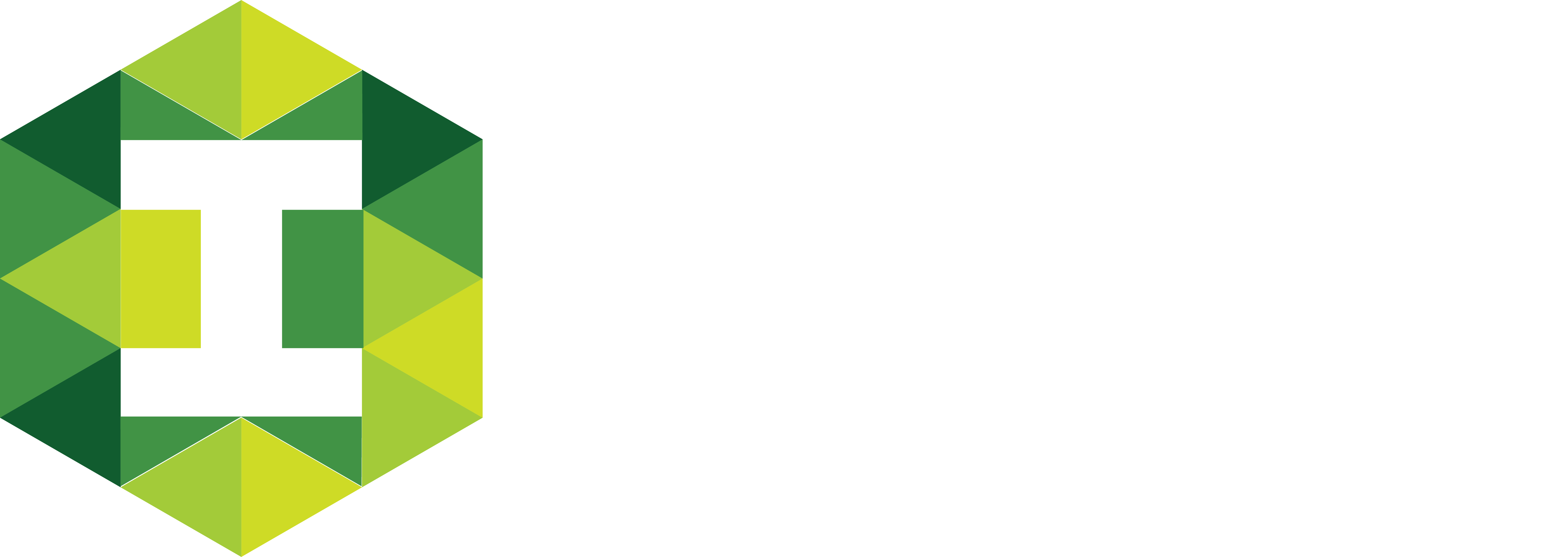ICONIS - ICONIS